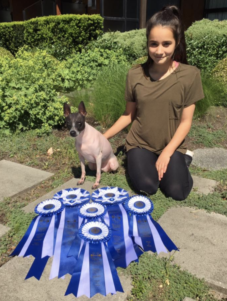 Topdog Training Academy