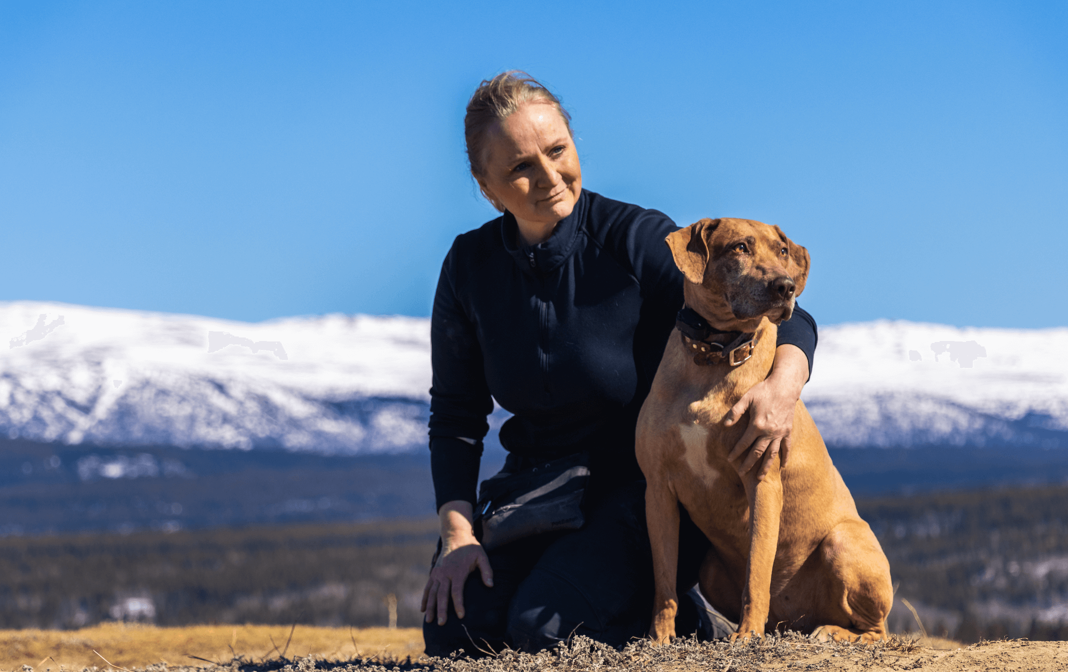 Topdog Training Academy